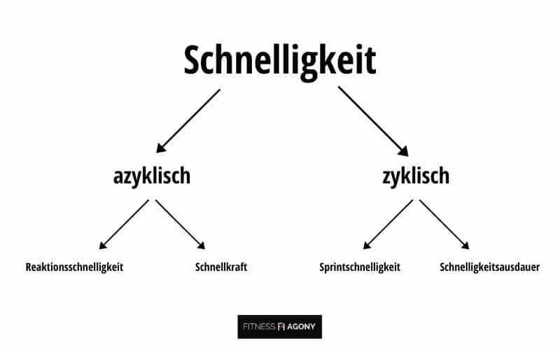 Schnelligkeit verbessern: So funktioniert das Schnelligkeitstraining ...